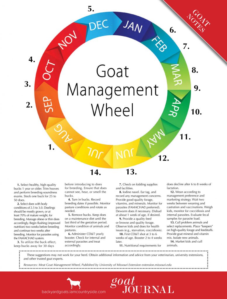 Goat Management Wheel - Goat Journal